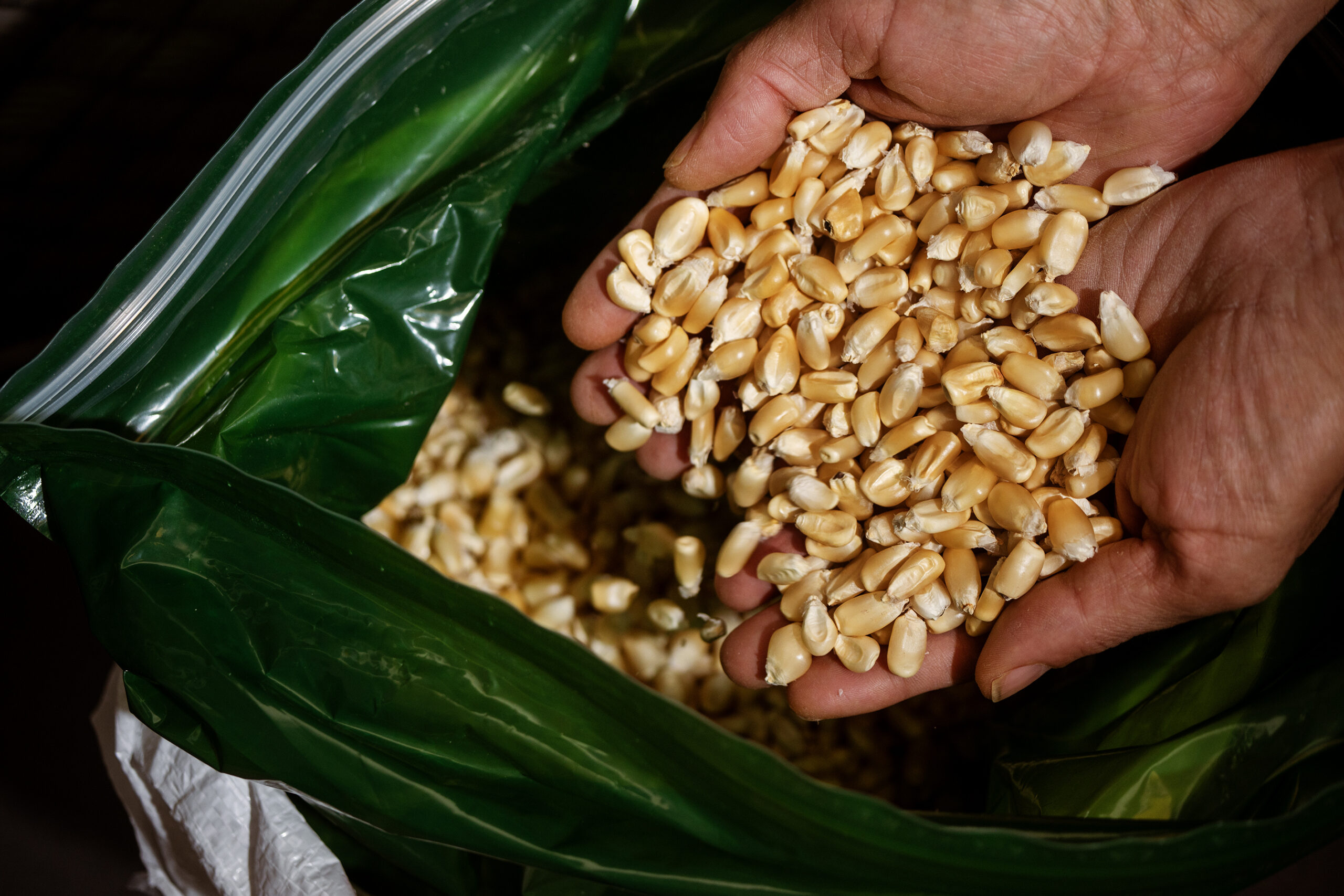 NOT ALL CORN IS CREATED EQUAL - El Pastor